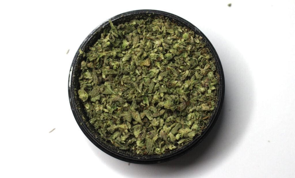 The Secret to World-Class Pre-Rolls: The Power of the Right Grinder