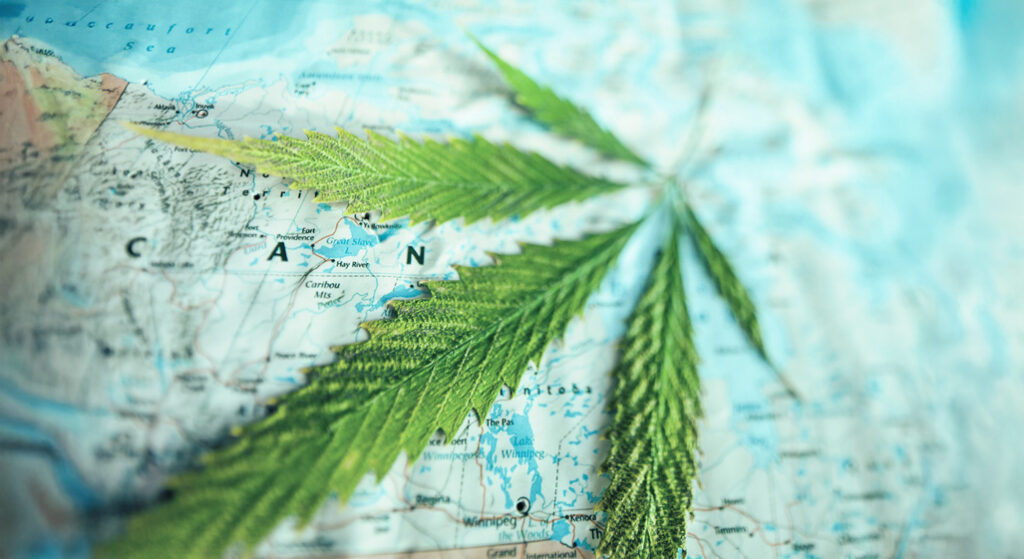 Marijuana Legalization World Map: Global Overview of Cannabis Laws